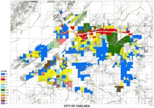 Chelsa Zoning - Granger & Thagard Auction and Marketing